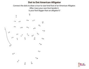 Dot to Dot Alligator Foot - Reading adventures for kids ages 3 to 5